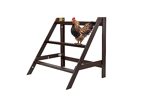 8 Best Tips-How to Set Up Chicken Roosting Bars