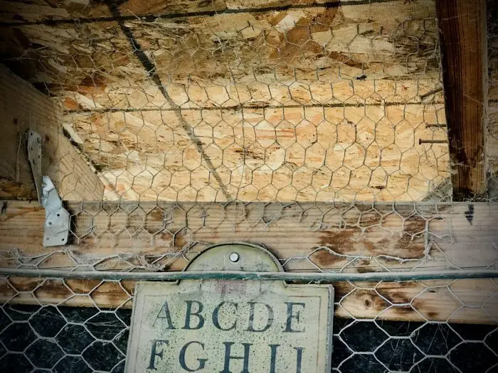 Rafters chicken wire. How to protect your chickens | Backyard Chickens Mama