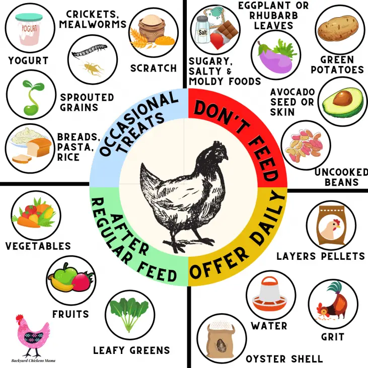 Chicken Feed Chart | Backyard Chickens Mama