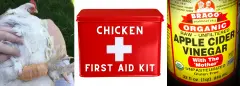 What Do I Need in My Chicken First Aid Kit?
