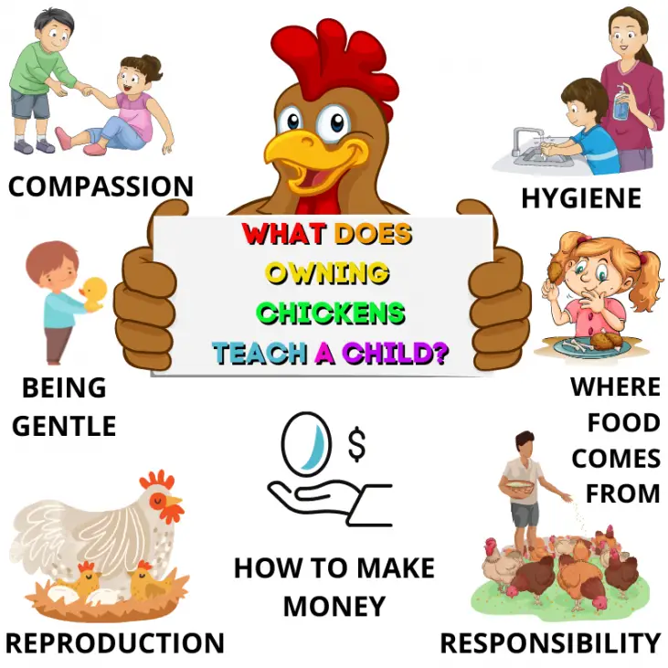 WHAT-DOES-OWNING-CHICKENS-TEACH-A-CHILD-1 | Backyard Chickens Mama