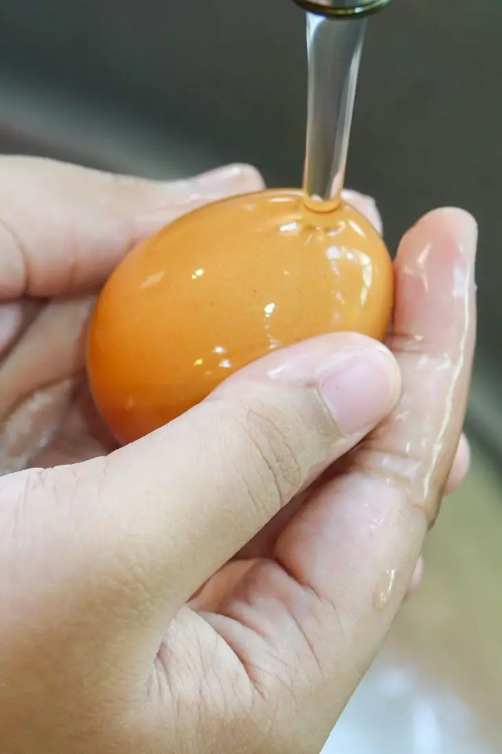 WASHING-EGG | Backyard Chickens Mama
