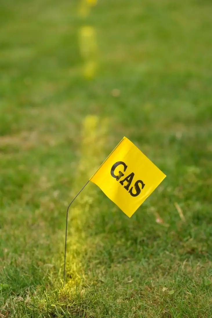 GAS-LINE-FLAG | Backyard Chickens Mama