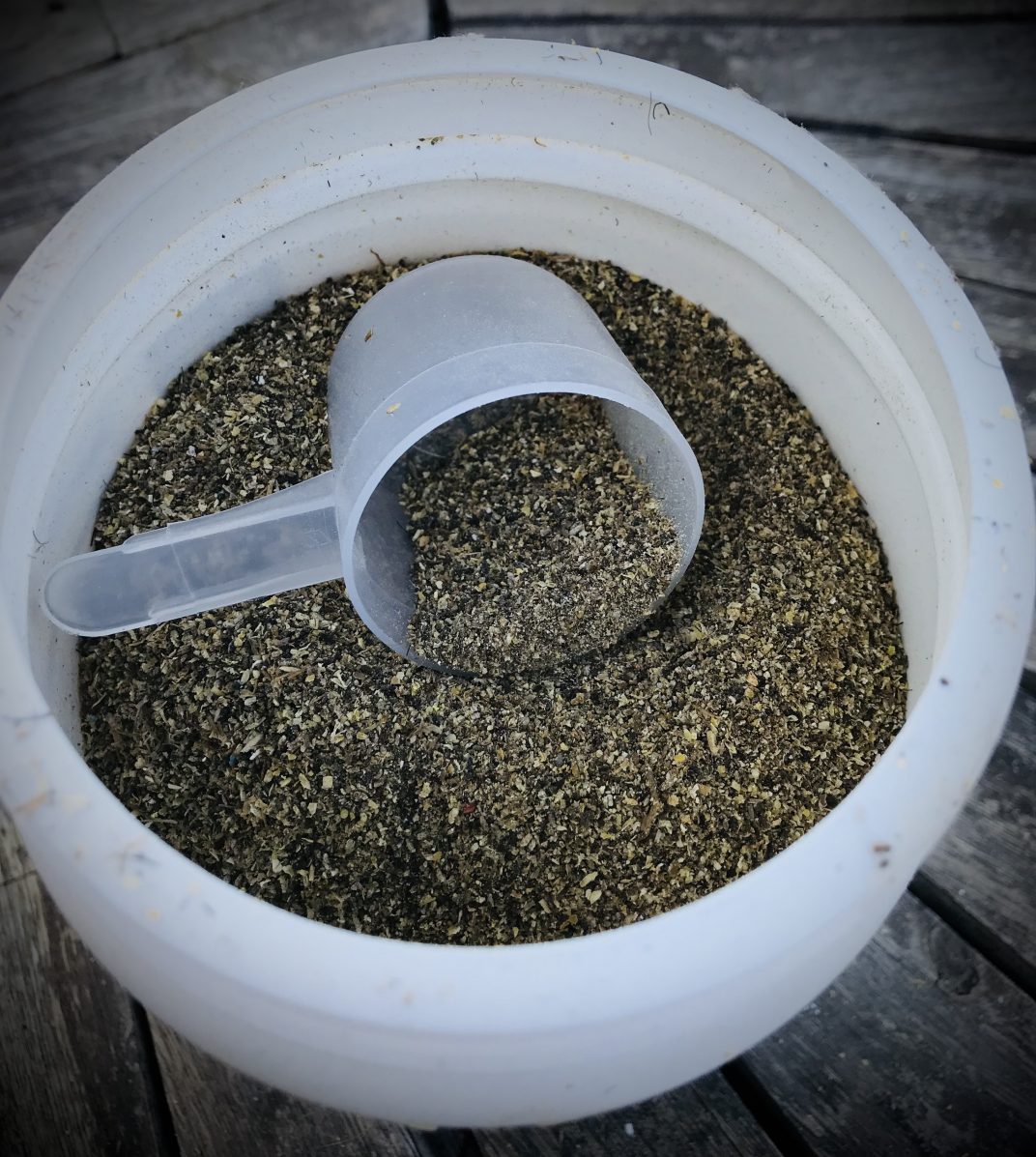 9 Best Tips-How to Breed Crickets at Home