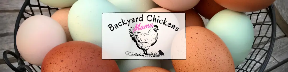 NESTING BOX HERBS | Backyard Chickens Mama