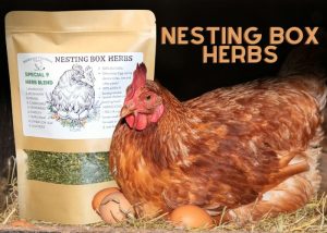 9 HERB NESTING BOX BLEND | Backyard Chickens Mama