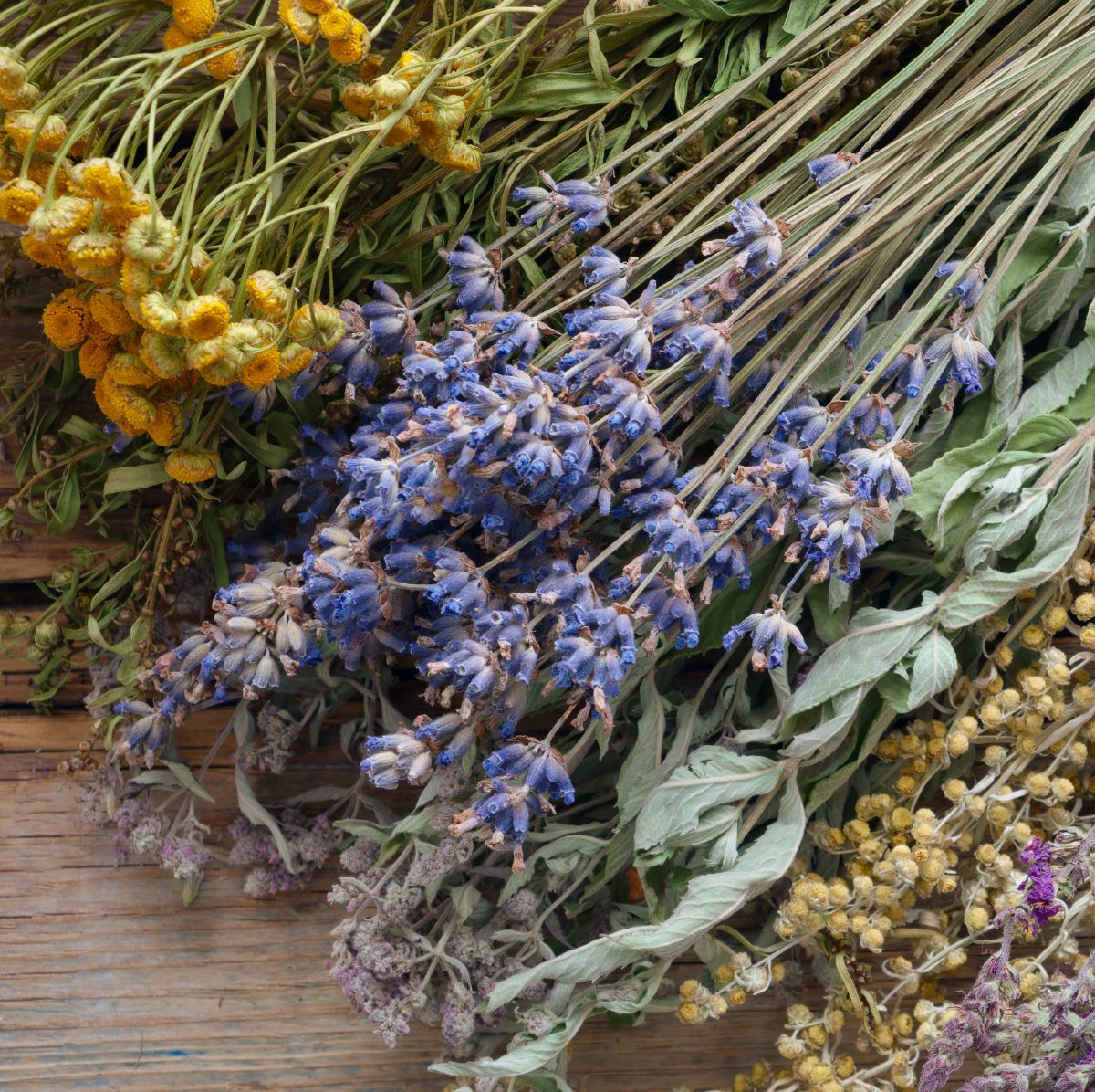 Simple DIY Nesting Box Herbs Recipe for Chickens