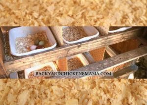 What to Put in Your Chicken’s Nesting Boxes