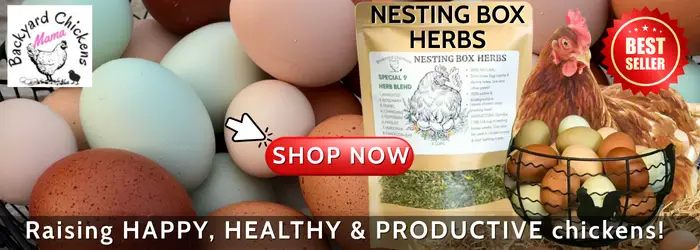 Logo Raising Happy Healthy Productive Chickens Shop Now Backyard